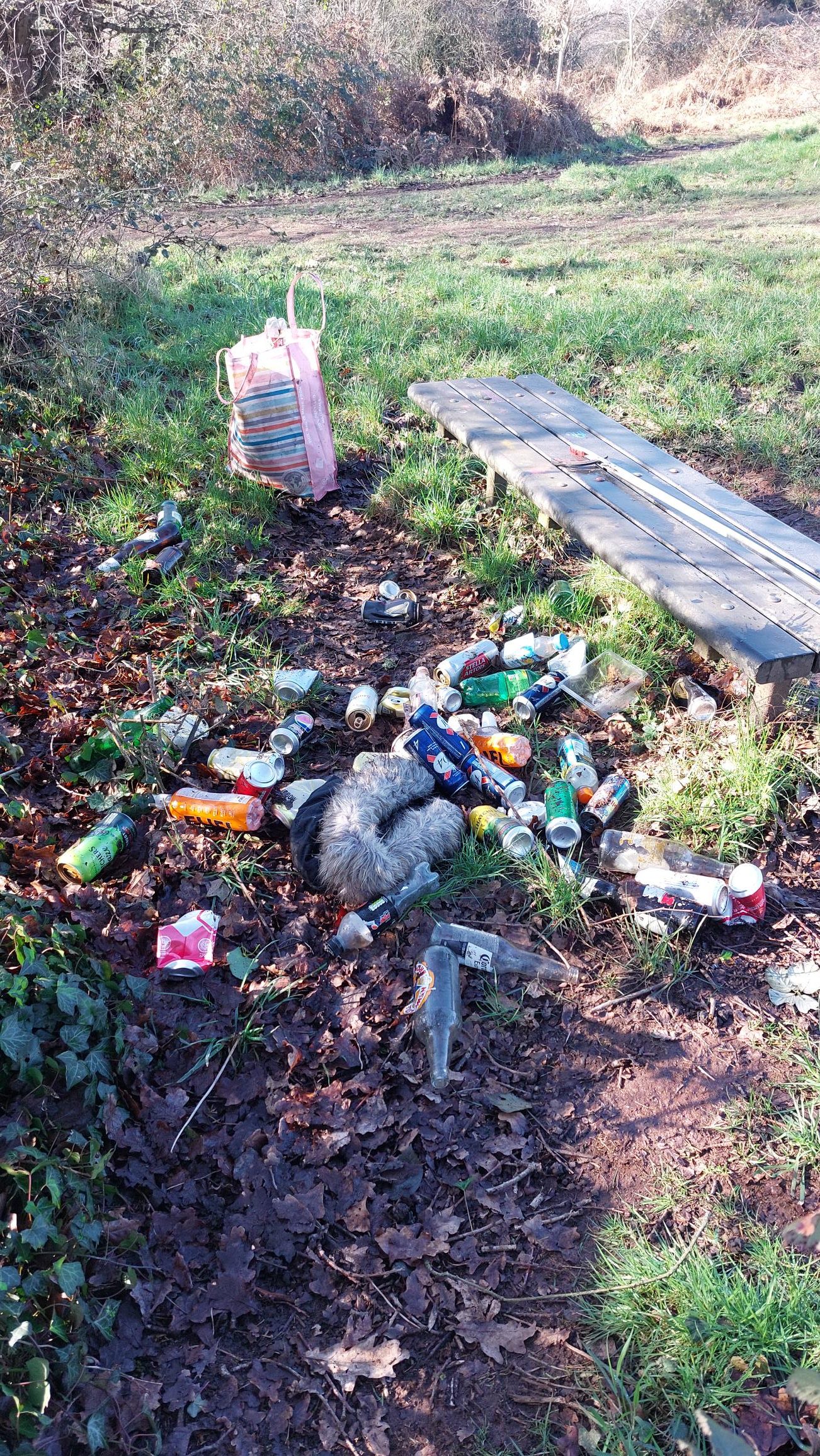 Council defends clearance work on Rodway Common - Emersons Green Voice