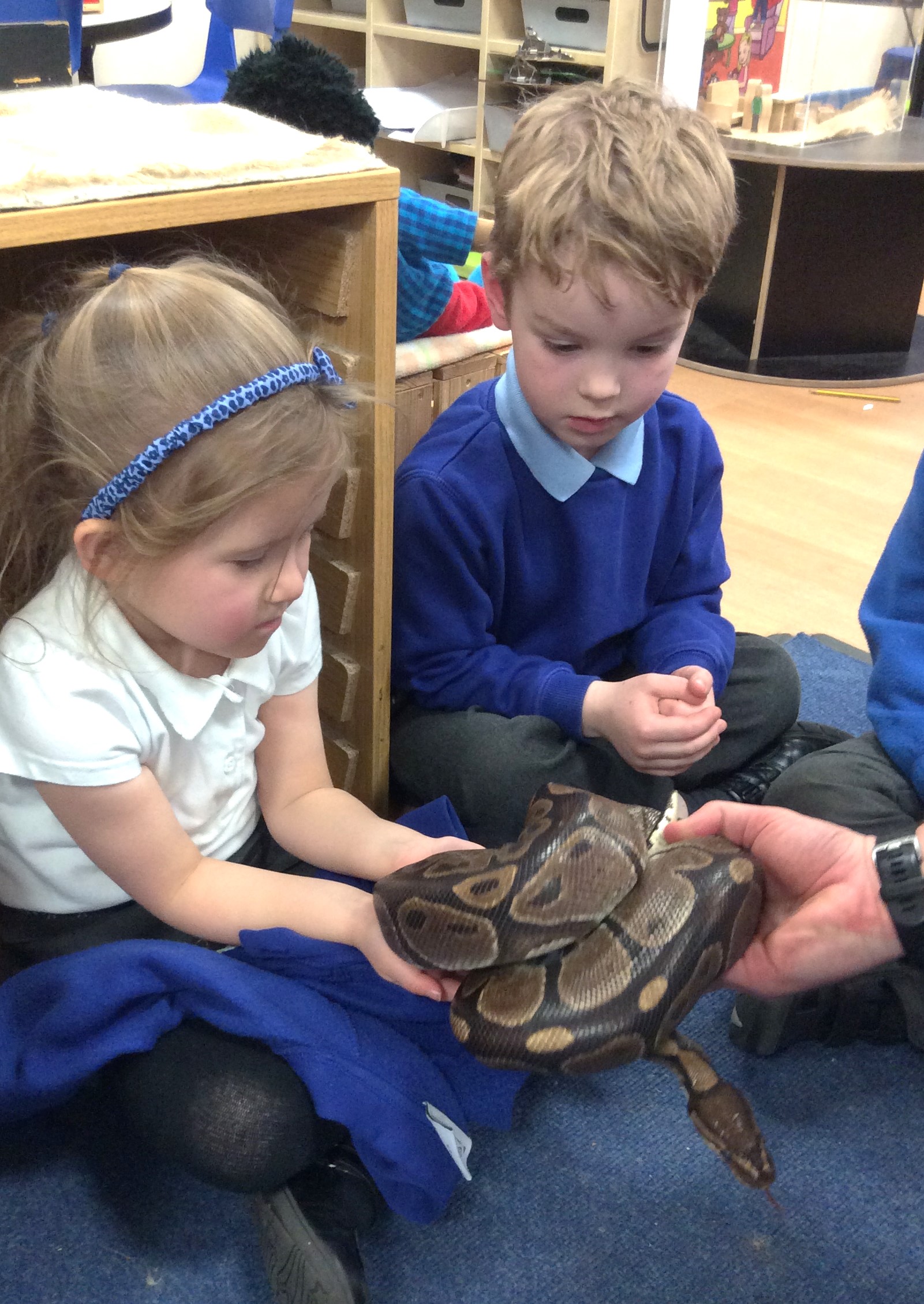 Snakes and ladders at primary school - Emersons Green Voice